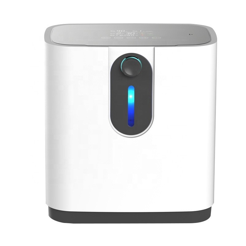 Portable Mini Homecare O2 Concentrator Machine 1L For Medical Home Use