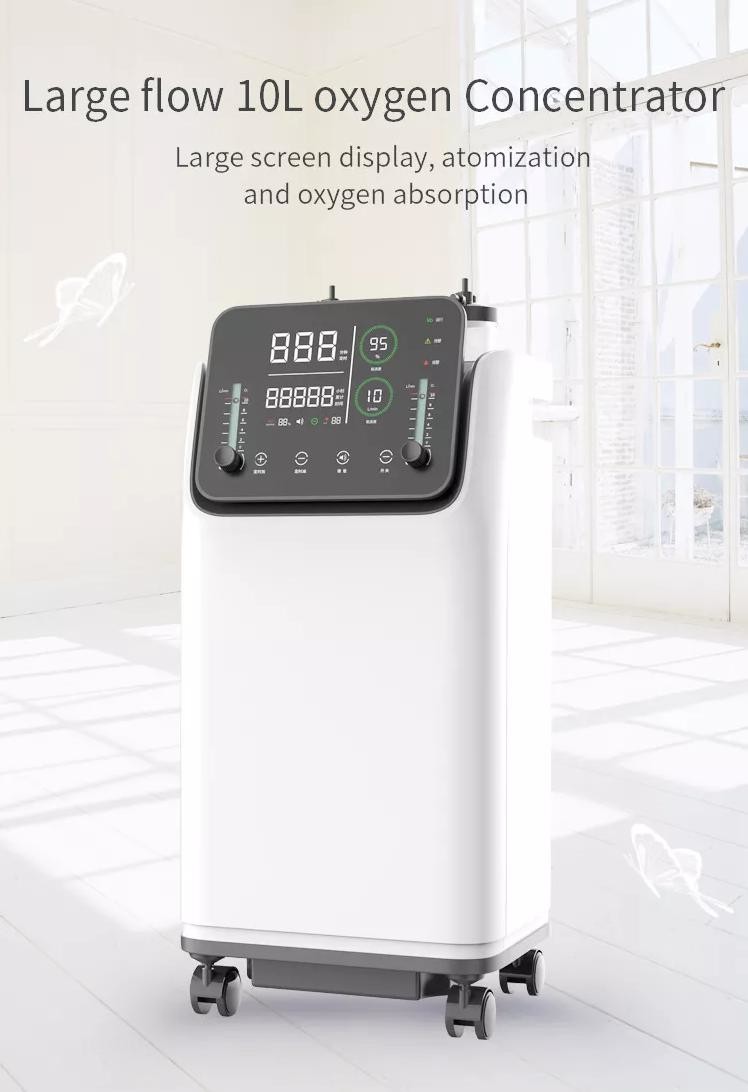 Portable Atomization Dual Use 10 L Oxygen Concentrator For The Elder