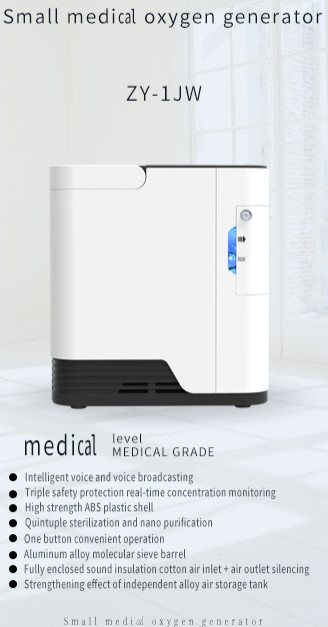 Personal PSA O2 Oxygen Converter Machine Concentrator 10 Liter Per Minute